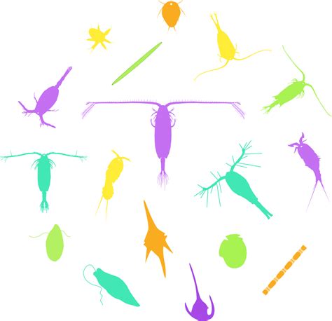 Plankton Plankton Science