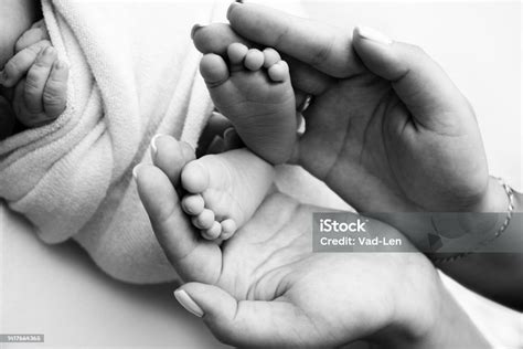 부모의 손바닥 아버지와 어머니는 갓 태어난 아기의 다리를 잡고 있습니다 부모의 손에 신생아의 발 발 발 뒤꿈치 및 발가락 사진 흑백 스튜디오 매크로 샷 0 11 개월에 대한