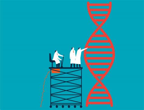 Next Generation Sequencing Ushering In A New Era Of Hla Typing