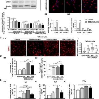 PrPC Skewed The OGD R Induced Pro Inflammatory State Toward An Download Scientific Diagram