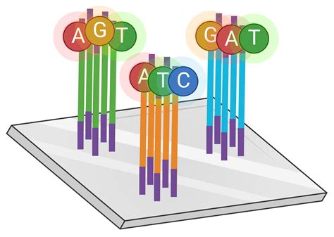 Mic Bioinformatics And Data Science Rhode Island Idea Network Of Biomedical Research Excellence