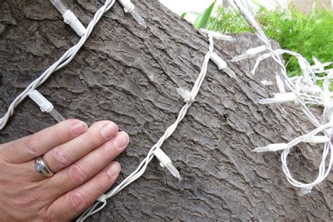 How To Wrap Trees With Outdoor Lights