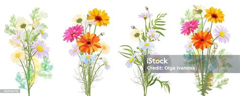 카모마일 거베라 꽃다발 흰색 빨간 오렌지 꽃 싹 잎 줄기 녹색 나뭇 가지 녹지 디자인 벡터에 대한 수채화 스타일의 흰색 배경에 현실적인 식물 그림 개체 그룹에 대한 스톡