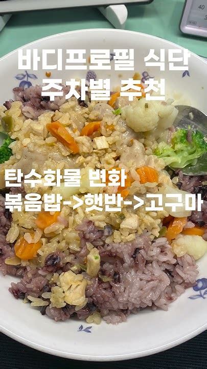 바디프로필 식단 해결풀영상 고정댓글 Youtube