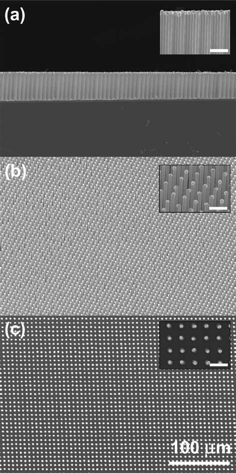 tilted sem views of a cu catalyzed si wire array having nearly 100
