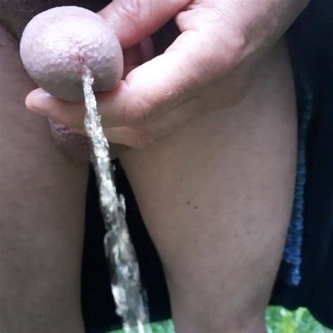 Pipi Du Matin Xhamster