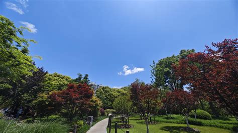 Git Commit 一些常见的提交前缀（prefix）及其含义 知乎