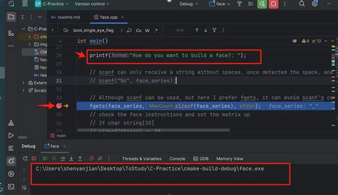 Clion Debug Trick Senranja