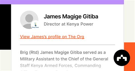 James Magige Gitiba Director At Kenya Power The Org