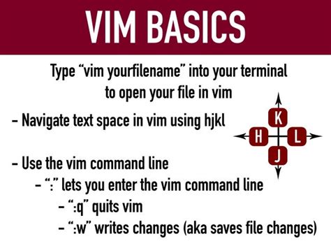 What Is Vim