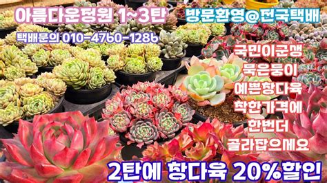 아름다운정원1~3탄가성비착한창군생 따글따글이쁜아이들 많아요♡아멜리♡파나메나♡라즈베리♡엘샤 ♡매직쨈골드철화 ♡아도니스♡왈츠♡가르시야♡쉘브르~~ Youtube