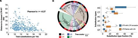 High Local Nucleotide Substitution Levels Are Associated With Long