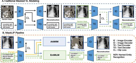 XLIP Cross Modal Attention Masked Modelling For Medical Language Image