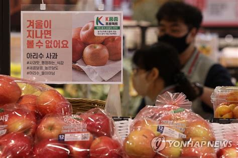 대형마트 달러 초강세에 국산 과일 운영 확대 연합뉴스