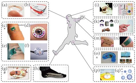 Biosensors Examples Revolutionizing Health And Safety