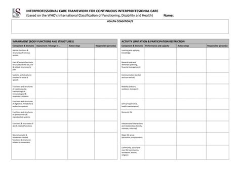 Icf Framework A3 Worksheet Pdf