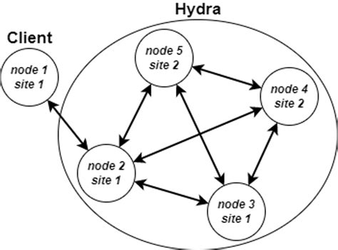 Fabric Topology Overview Of The Client And Hydra Nodes Download Scientific Diagram