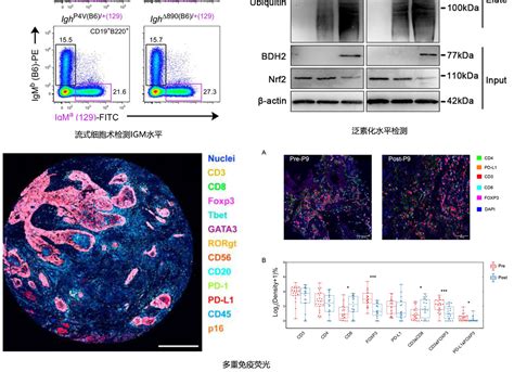 杭州铂赛生物科技有限公司