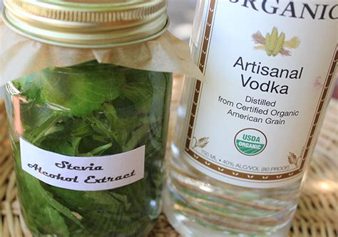 How To Make Stevia Extract Using Different Methods