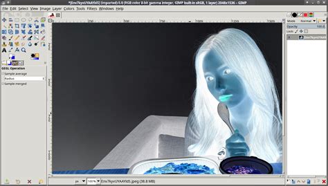 Gimp 21024 Is Released With A New Negative Darkroom Feature Linuxreviews