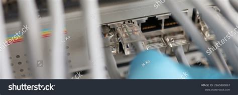 Technician Hand Connect Switch Ethernet Cables Stock Photo Shutterstock