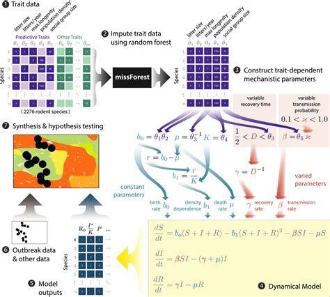 model parametrization from observable trait data an incomplete data