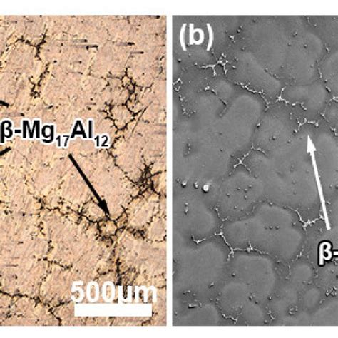 Schematic Illustration And Microstructure Observation Position Of The