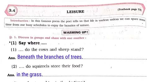8th Std English Ch 34 Leisure Workbook Answers Class 8th English Lesson 34 Leisure Workbook