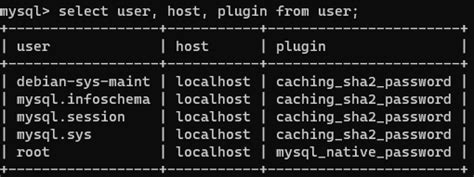 Wsl2에서 Mysql의 Root계정 로그인 오류