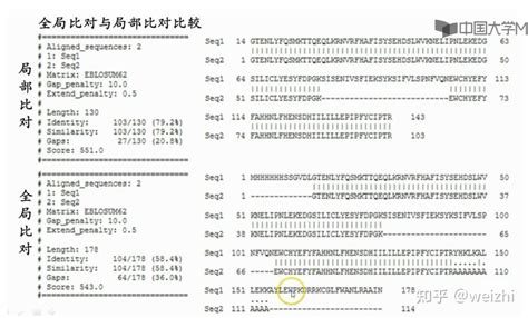 山东大学生物信息学学习笔记3 双序列比对 知乎