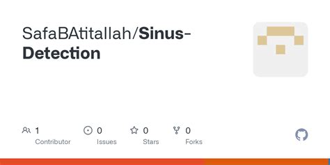 Sinus Detection Sinus Detection Ipynb At Main · Safabatitallah Sinus Detection · Github