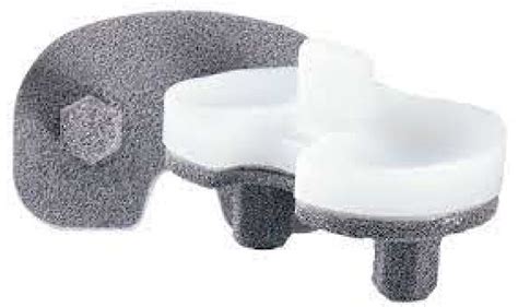Demonstration Of Trabecular Metal Monoblock Tibial Trays Download