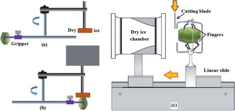 Rotating Gripper A Picking The Fruit B Contacting The Heating Download Scientific Diagram