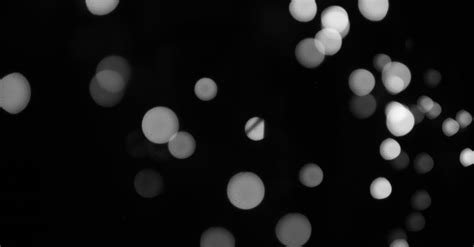 Foto De Stock Gratuita Sobre Efecto Desenfocado Luces Noche Tiro Vertical