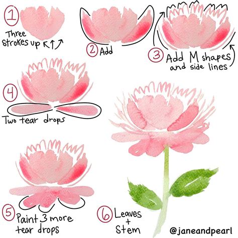 20 Best Watercolor Flowers Tutorials And Videos Watercolor Flowers