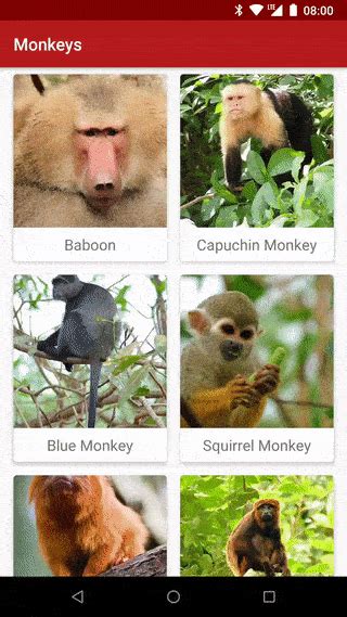 Shared Element Transition Unter Android Umsetzen