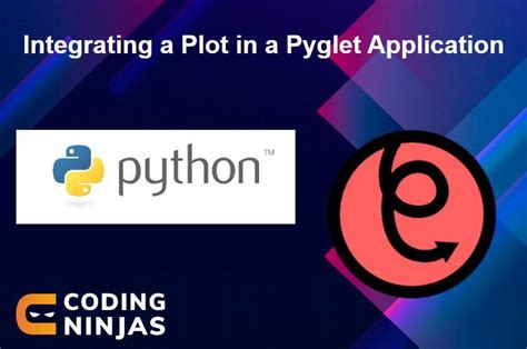 Integrating A Plot In A Pyglet Application Naukri Code 360
