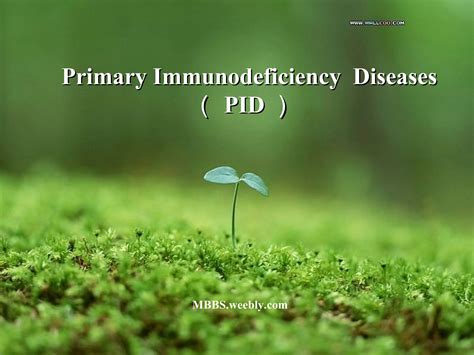 14 Primary Immunodeficiency Diseases Ppt