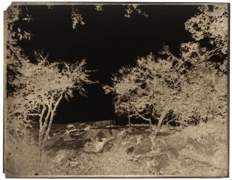 Landscapes And A Seascape Exhibitions Hans P Kraus Jr Fine