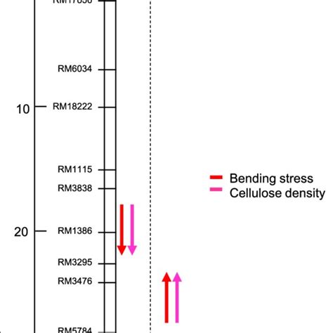 Substitution Mapping Of Qtls By Comparing Overlapped Segments Among