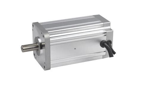 China Customized 48vdc 750w 3000rpm Permanent Magnet Brushless Dc Motor Suppliers Factory