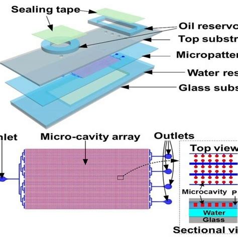 Schematic Diagram Of The Zero Water Loss High Throughput Microfluidic Download Scientific