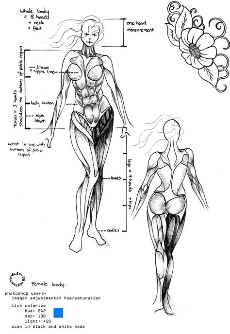 Female Body Reference By Wynnter89 On Deviantart