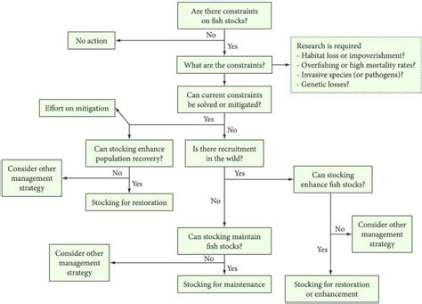 A Decision Diagram Showing The Links Among All Types Of Stocking Which Download Scientific