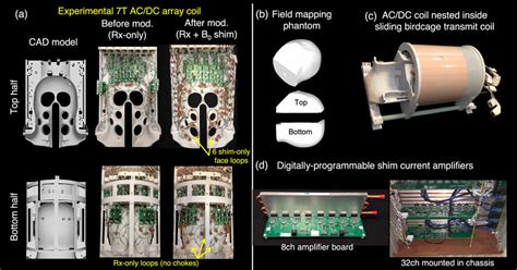 Hardware Used For 7t Imaging And B 0 Shimming Experiments A 32 Ch Rf Download Scientific