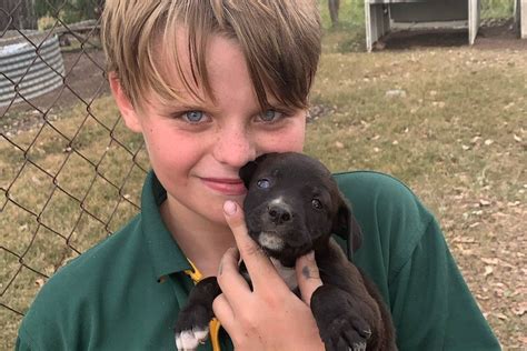 Snake Bite Victims Urged To Seek Medical Help Regardless Of What Type