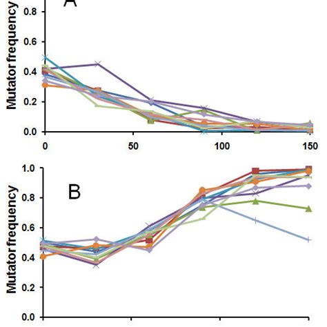 Mutator Dynamics In Asexual Populations Mutator Strains Decline Toward