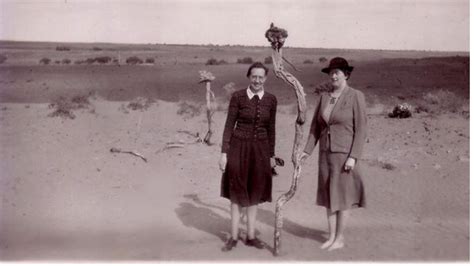 Sql Problemas Con El Tipo De Campo En Consultas Ado Con Más De 8