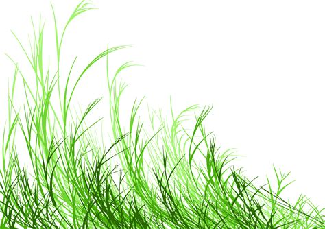 Трава травинки Природа кроме цветов и животных Кира скрап