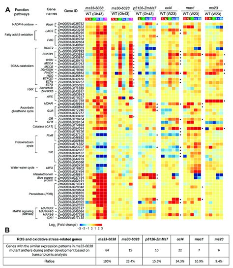 Transcriptome Analysis Of Ros And Oxidative Stress Related Genes